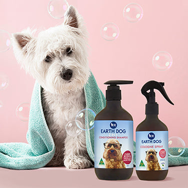 BX Earth – bxearth